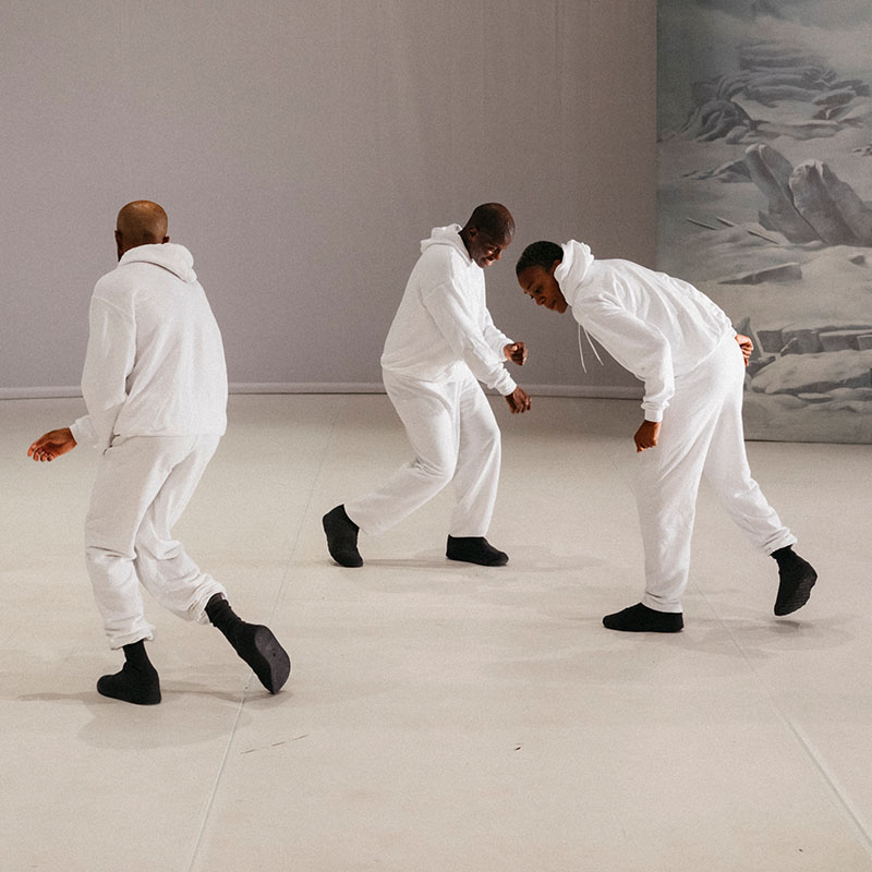 Jeremy Nedd | from rock to rock… aka how magnolia was taken for granite ...